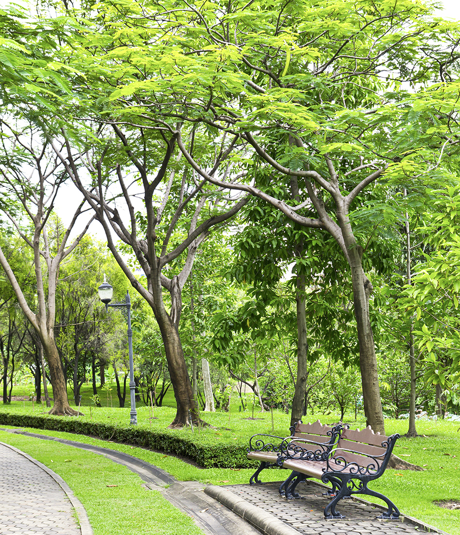 ¿Por qué son importantes los parques urbanos? – Revista Elements